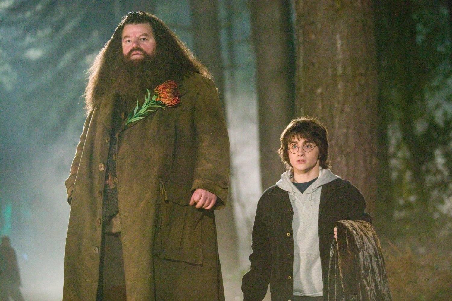 Acteur Hagrid Taille : La Stature Imposante de Robbie Coltrane à la ...